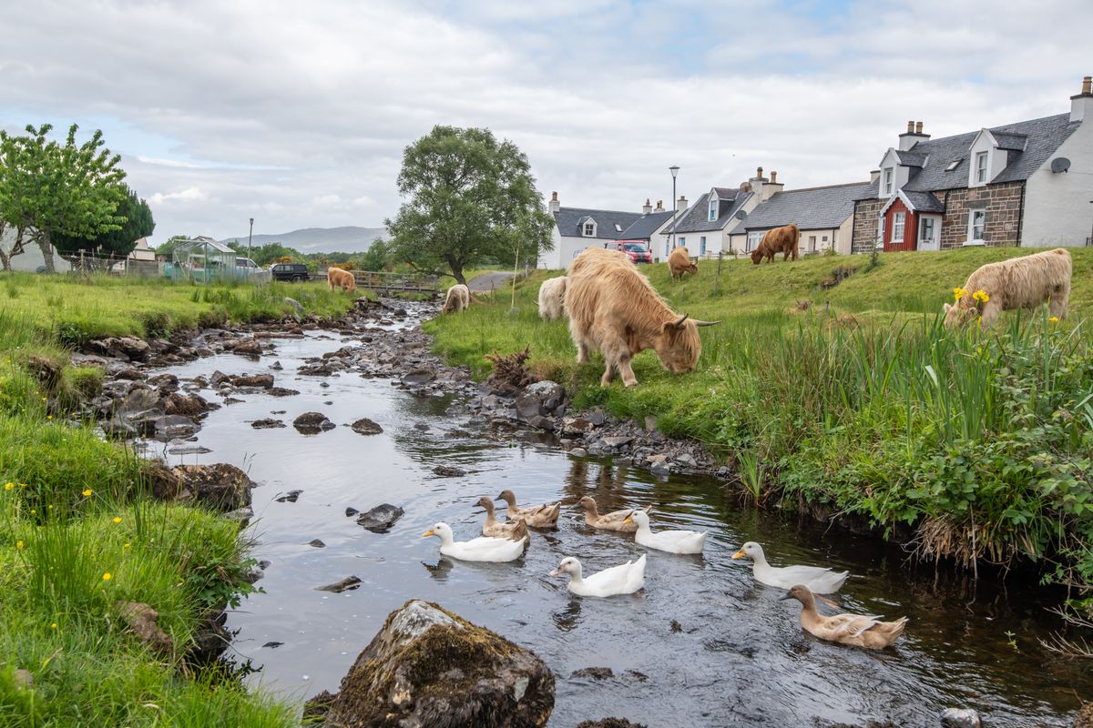 Crafty Crofters open visitor experiences in the Highlands... - News ...