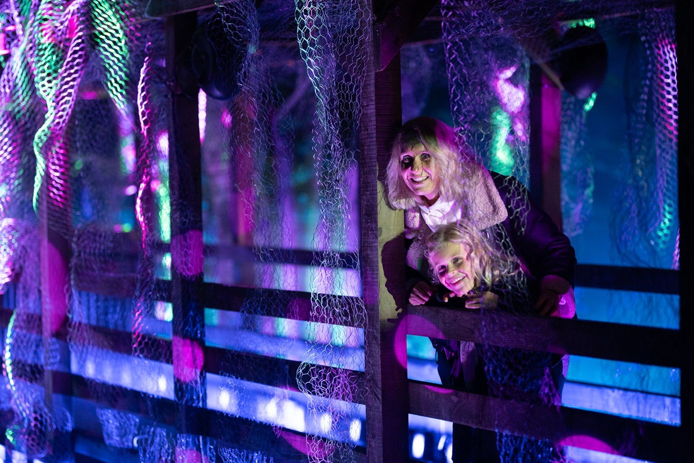 Case study | The Enchanted Forest - News | VisitScotland.org