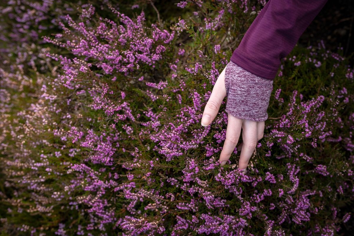 VisitScotland's Climate Change Action Plan | VisitScotland.org